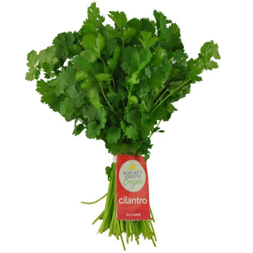 Cilantro Plu Vp Tie # 4889 Red - 8" 1000/Pack | Round Eye Supply