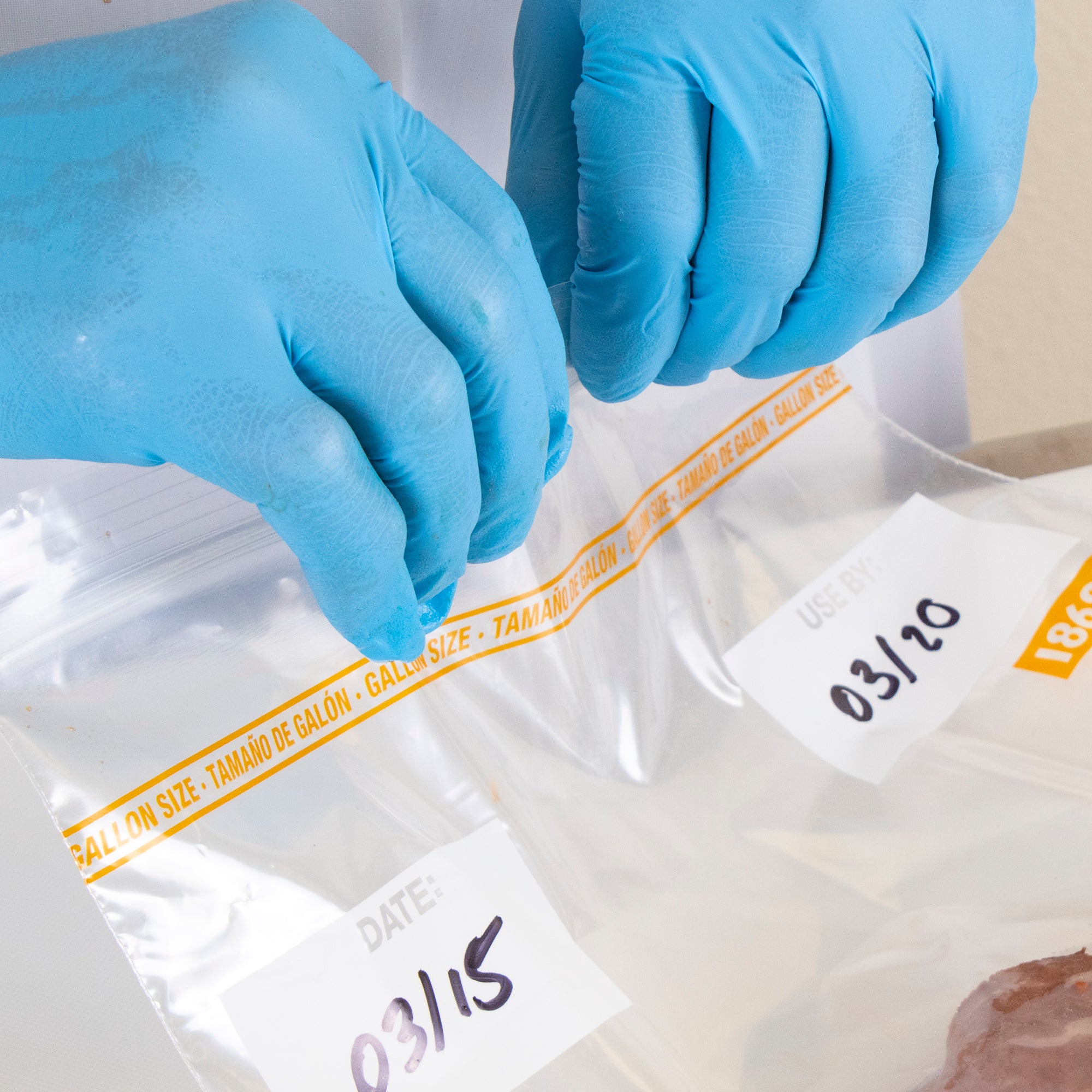 Companions Merit Reclosable Gallon Bag-Clear Flat Stack Pack-250 Each ...